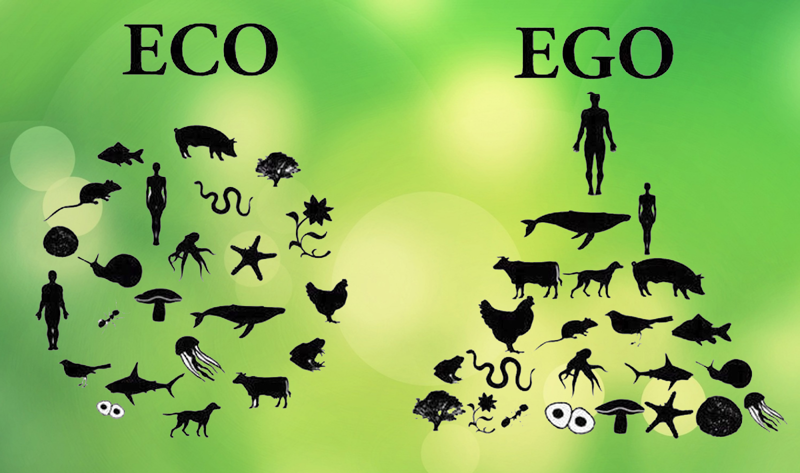 Why I love so much deep ecology – Humanisma